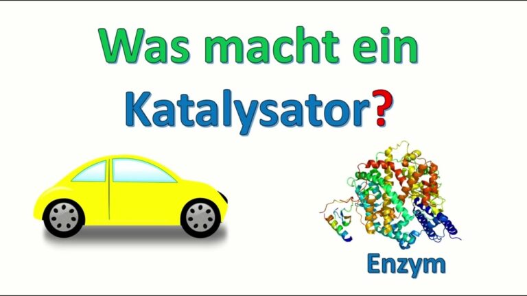 Vorteile von Katalysatoren im Überblick | Aktualisiert Oktober 2025